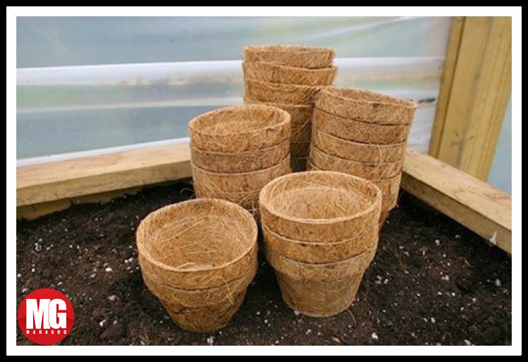 How To Pick Suitable Organic Pots For Your Garden? – MahaGro®